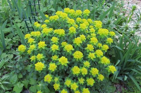 Products - Plant Ranch Inc
